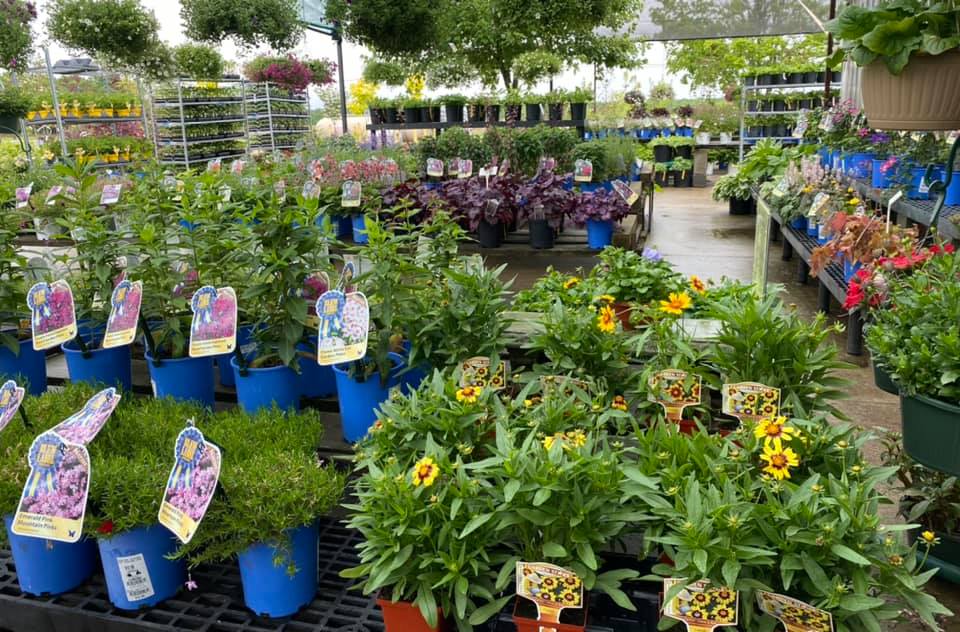 Bockelman's Landscaping and Garden Center